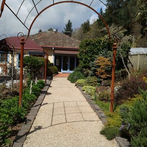 GARDENWORLD NURSERY - Updated June 2025 - Springvale Rd, Keysborough ...