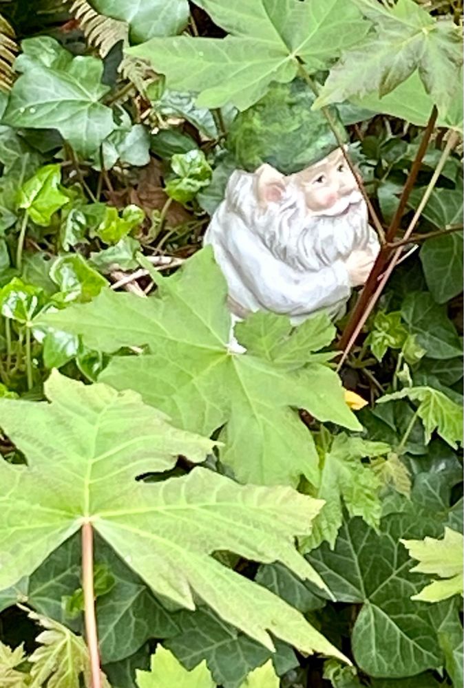 VALLEY OF THE GNOMES - Updated April 2025 - 23 Photos - 3904 E Pine St ...