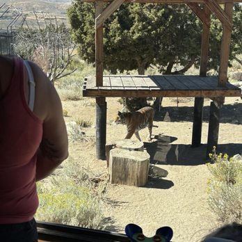 ANIMAL ARK - Updated October 2025 - 514 Photos & 161 Reviews - 1265 ...