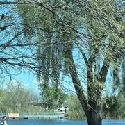 RIPARIAN PRESERVE AT WATER RANCH - 635 Photos & 220 Reviews - 2757 E ...