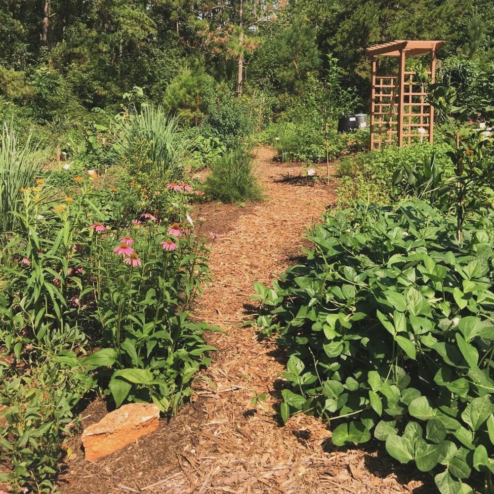 ECO ROOTS GARDENS - Updated November 2024 - Request a Quote - 15 Photos ...