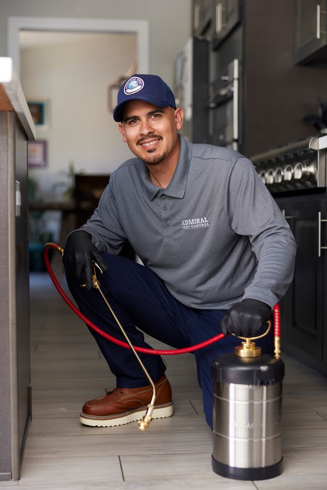 ADMIRAL PEST CONTROL - Updated October 2025 - 57 Photos & 122 Reviews ...