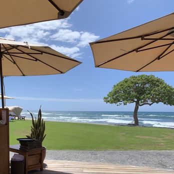 BEACH TREE RESTAURANT BAR AND LOUNGE - Updated January 2025 - 569 ...