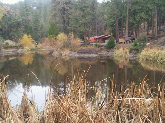 CAMP EMERSON BSA - Updated June 2024 - 53155 Idyllbrk Dr, Idyllwild ...