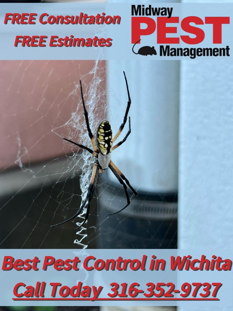 MIDWAY PEST MANAGEMENT - Updated September 2024 - 10 Photos - Wichita ...