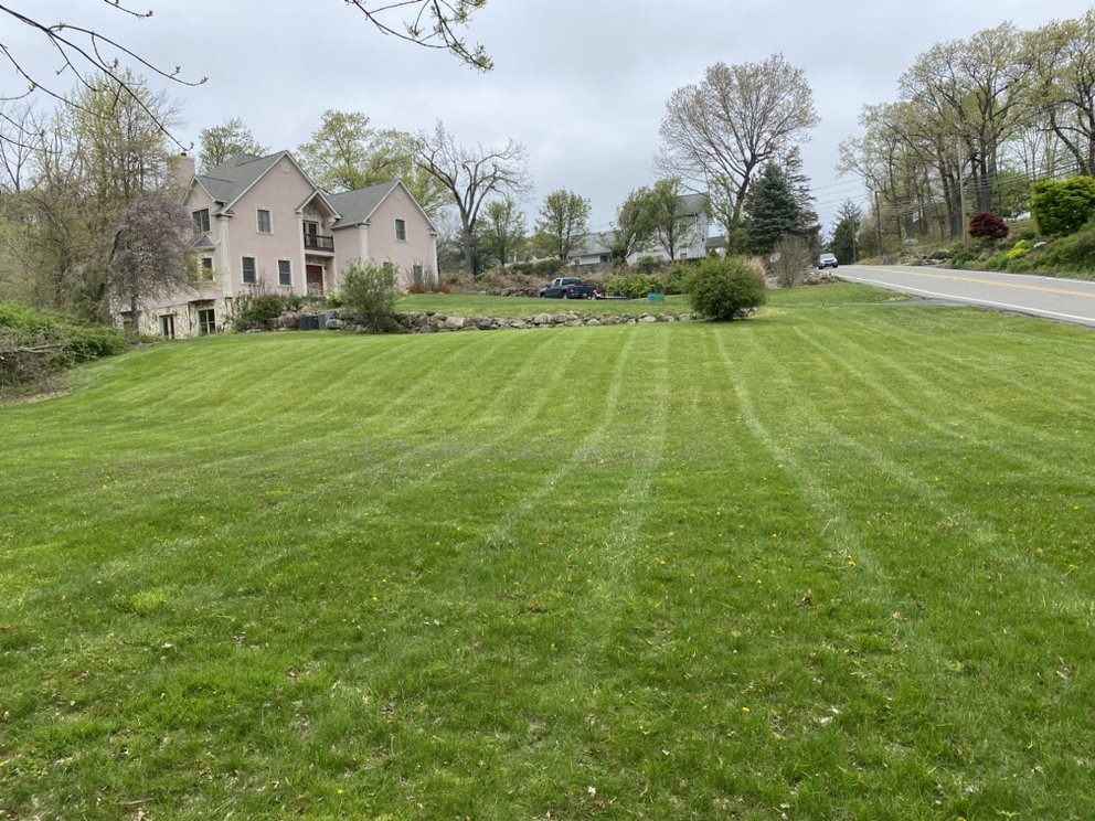THE LAWN OFFICES OF P&T - Updated May 2026 - Request a Quote - Rockaway ...
