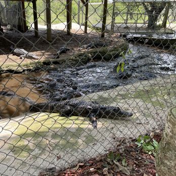 EVERGLADES OUTPOST - Updated December 2024 - 371 Photos & 101 Reviews ...