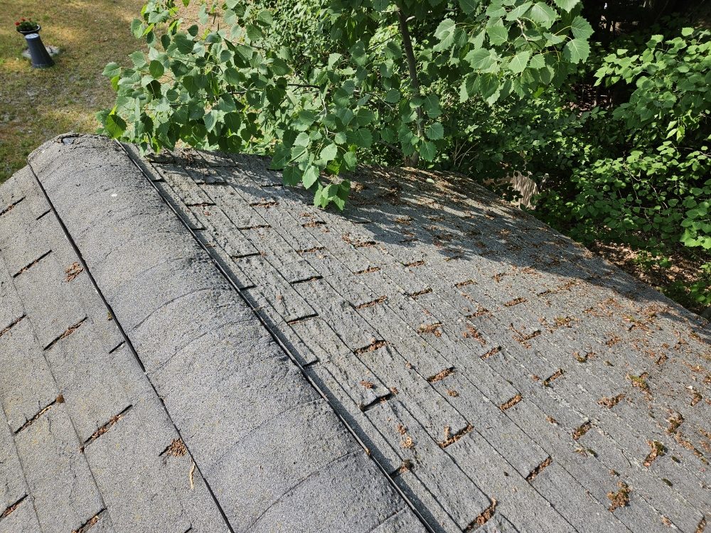 BIG TOP ROOFING - Updated March 2024 - 54 Photos - Traverse City ...