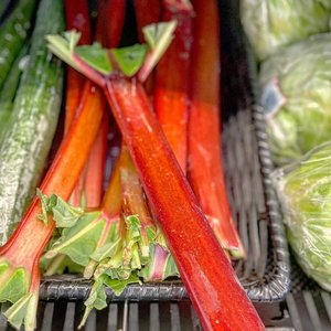 THAYER ICE ARENA - Updated July 2024 - 975 Sandy Ln, Warwick, Rhode ...