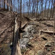 TURKEY RUN PARK - 85 Photos & 24 Reviews - Parks - McLean, VA - Yelp