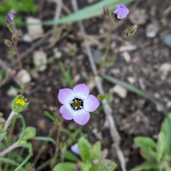 SHELL RIDGE OPEN SPACE - Updated October 2025 - 61 Reviews & 424 Photos ...