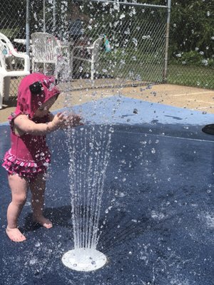 GATOR POOL - Updated July 2025 - 17 Photos - D St, Virginia Beach ...