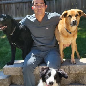 HIGH RIDGE ANIMAL HOSPITAL - Updated July 2025 - 13 Reviews - 2612 ...