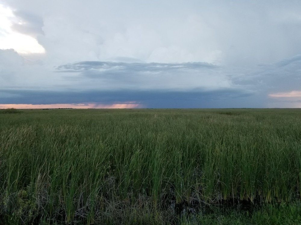 LAW OFFICE OF SCOTT KISTNER - Updated December 2025 - 4101 Ravenswood ...