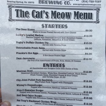 SPRING DAM BREWING - Updated July 2025 - 17 Photos - 269 E Main St ...