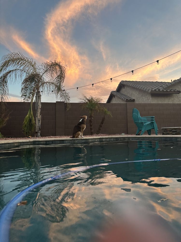 AZ OASIS POOL SERVICES - 12 Photos - Buckeye, Arizona - Pool Cleaners ...