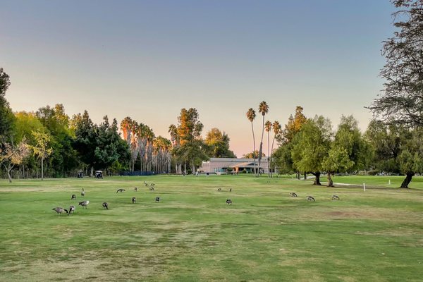 WOODLEY LAKES GOLF COURSE - Updated September 2024 - 75 Photos & 86 ...