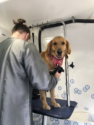 HYDRODOG BERT - Updated November 2024 - 34 Photos & 15 Reviews ...