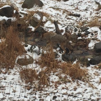 TRAILSIDE MUSEUMS & ZOO - Updated September 2024 - 188 Photos & 31 ...