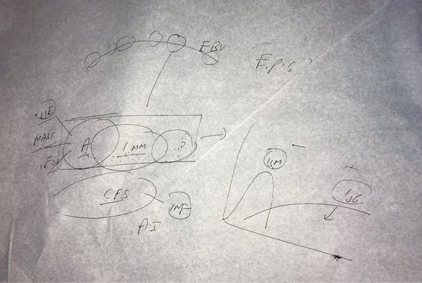 VEROS HEALTH | MEMBER OF IMMUNOE CENTENNIAL - Updated January 2026 - 26 ...