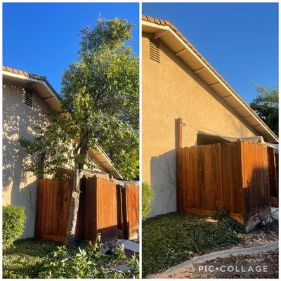 RAMIREZ LANDSCAPING & MAINTENANCE SERVICE - Updated September 2025 - 45 ...