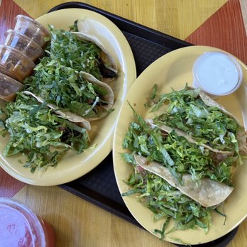 CACTUS TAQUERIA - Updated May 2024 - 308 Photos & 1079 Reviews - 5642 ...
