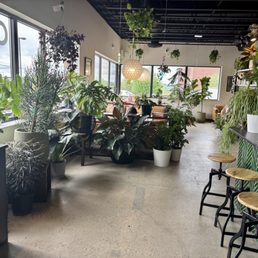 CAFE CONMIGO - CRANBERRY - Updated July 2025 - 45 Photos & 11 Reviews ...