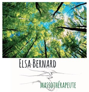 ELSA BERNARD - Updated July 2025 - 13 Photos - Rue Constant Wauters 80 ...