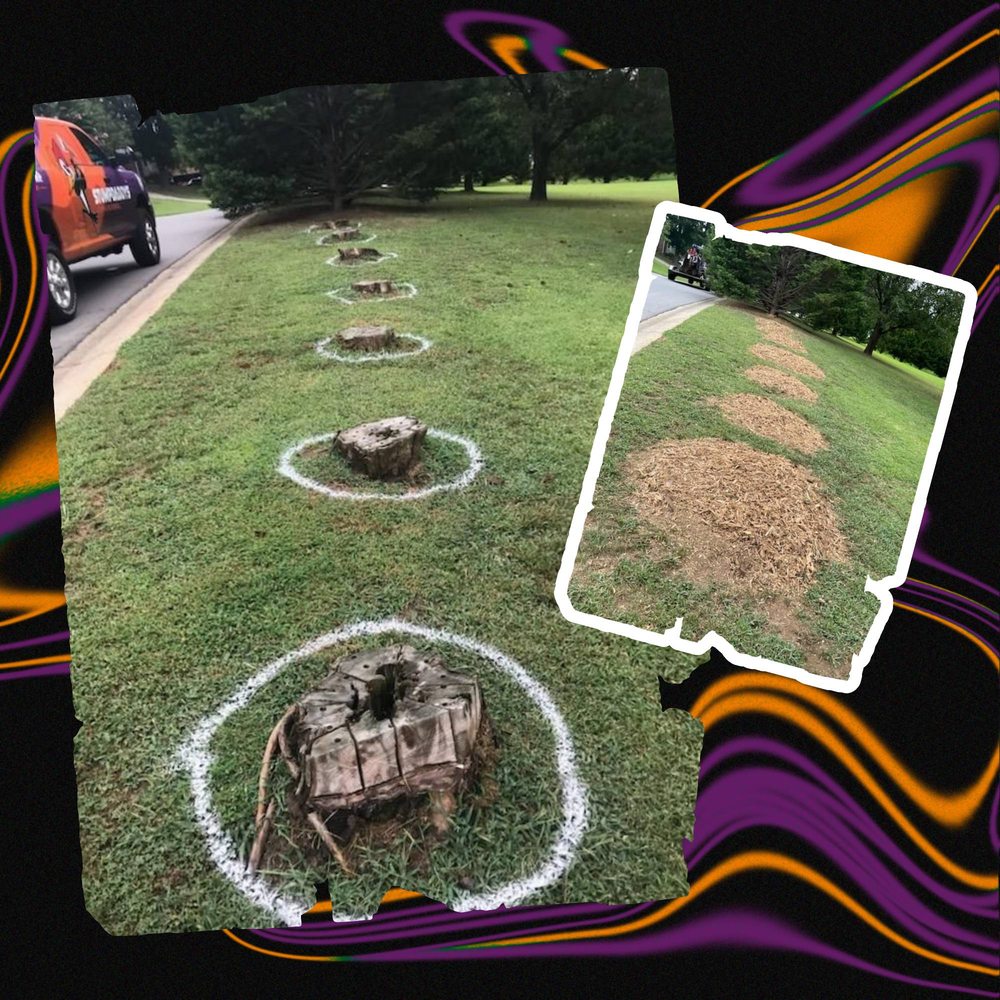 TRIPLETT’S STUMP GRINDING - Updated August 2025 - 21338 Mccall St ...