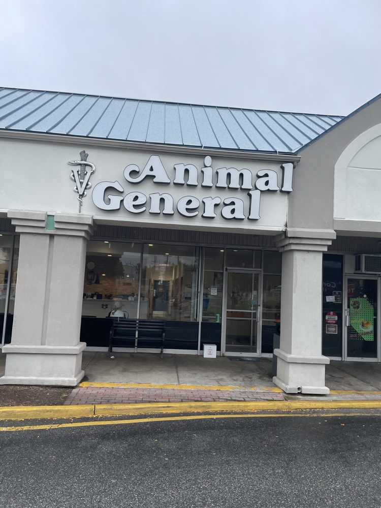 Animal General on Hudson - Updated June 2026 - 19 Photos & 133 Reviews ...