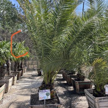 MOON VALLEY NURSERIES - Updated April 2025 - 175 Photos & 74 Reviews ...