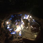 FOREST ROOM 5 - Updated January 2026 - 248 Photos & 823 Real Reviews ...