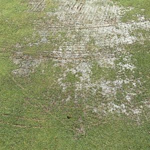 ELK VALLEY GOLF COURSE - Updated January 2026 - 7085 Van Camp Rd ...