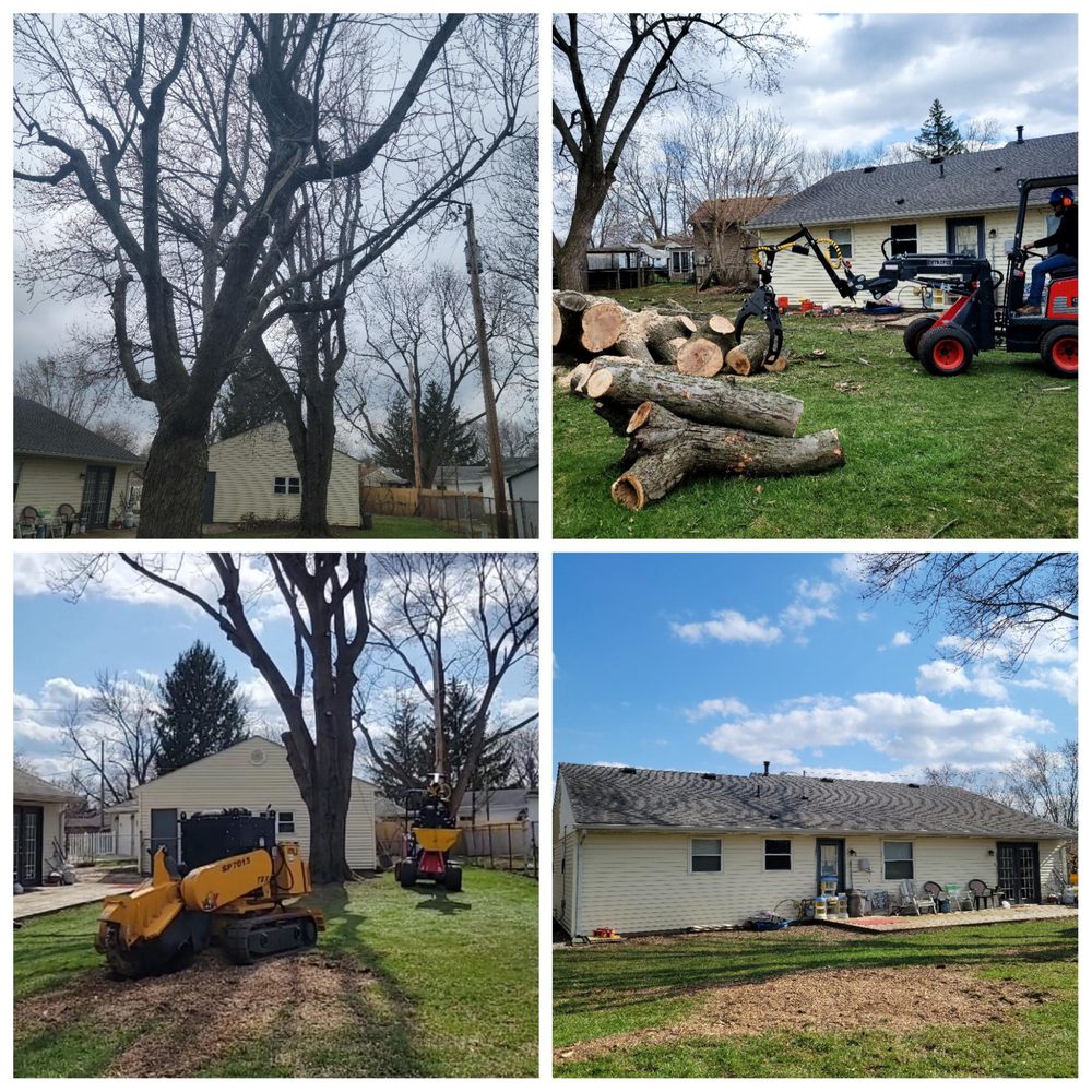 TREE RANGER - Updated January 2025 - Dayton, Ohio - Tree Services ...