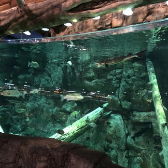 BASS PRO SHOP - Updated August 2024 - 1710 Photos & 391 Reviews - 1 ...