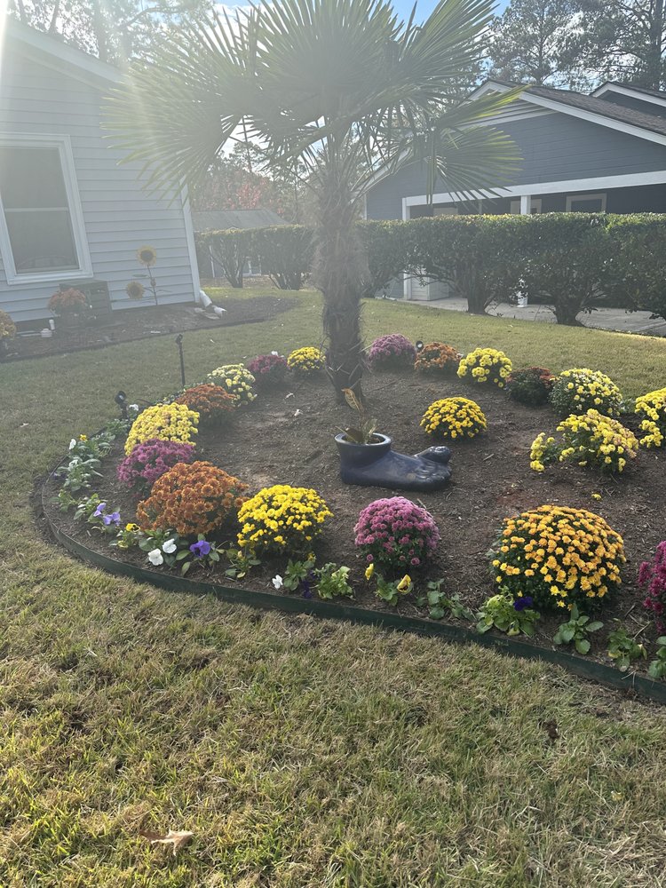 AAA UNION TREE SERVICE & STUMP REMOVAL - Updated June 2025 - 32 Photos ...