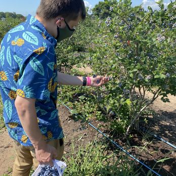 JOHNSON’S FARM PRODUCE - Updated January 2026 - 351 Photos & 64 Reviews ...