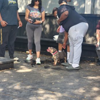 HTX FOOD PLUG - Updated July 2025 - 18 Photos - 723 telephone rd ...