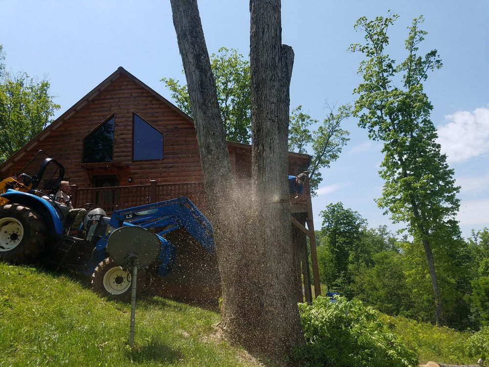 SILVERBACK TREE & LANDSCAPING - Updated April 2024 - 78 Photos - 16018 ...