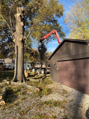 DJ TREE SERVICE - Updated October 2025 - Evansville, Indiana - Tree ...