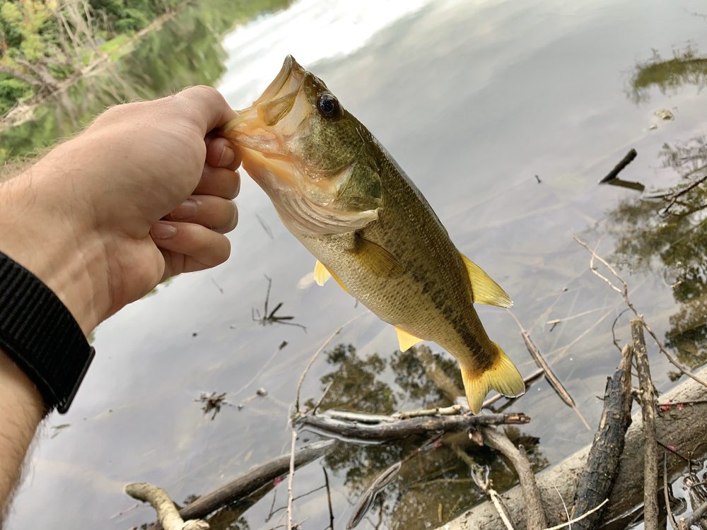 COPPERFIELD NATURE TRAILS - 46 Photos & 13 Reviews - 1450 Yager Ln E ...