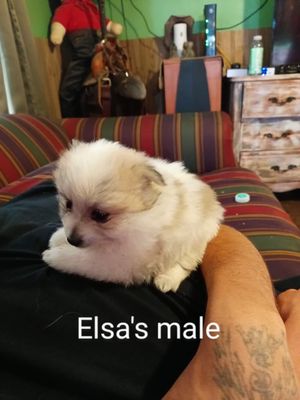 AMERICAN CLASSIFIEDS - Updated September 2025 - 10 Photos - 3900 N 1st ...