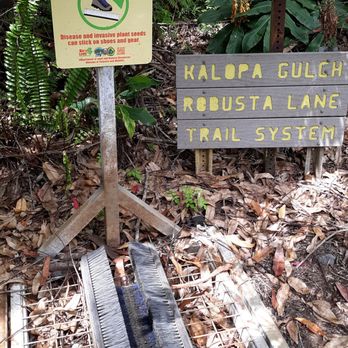 KALOPA STATE PARK - Updated December 2025 - 29 Photos & 12 Reviews - 44 ...