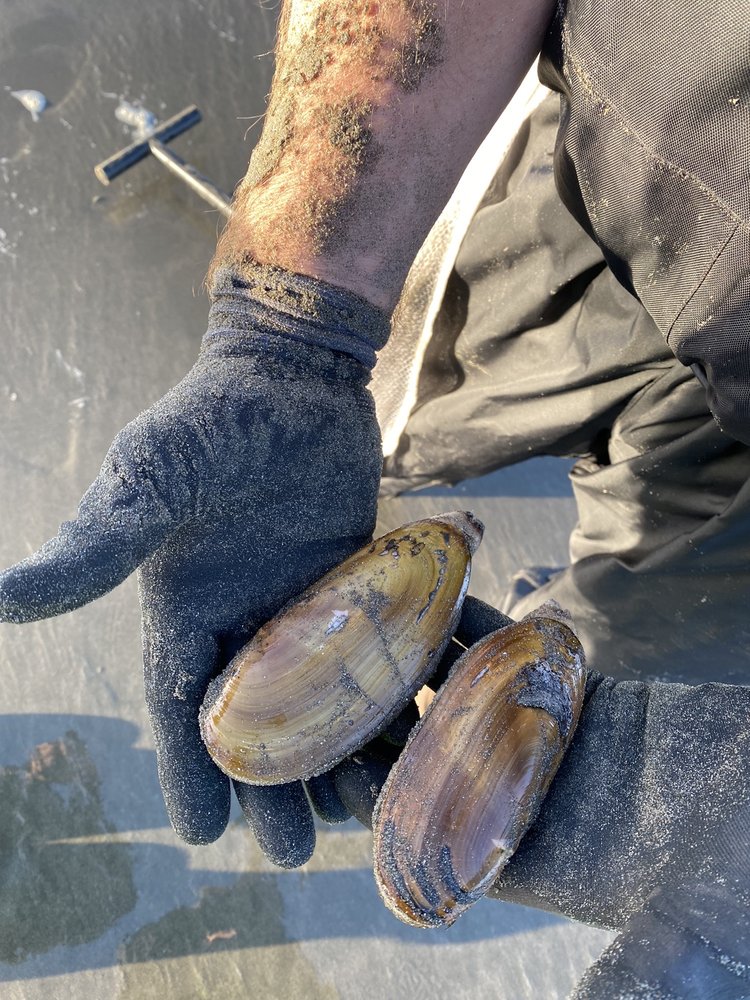 POINT ST. GEORGE BEACH - Updated October 2025 - 19 Photos - 4355 N ...