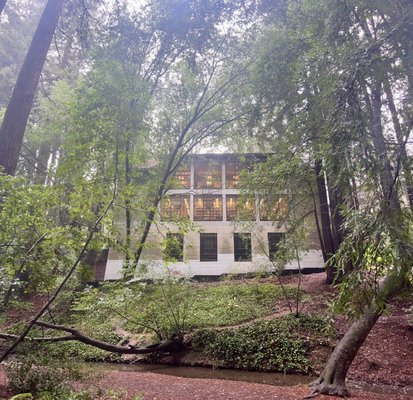 MILL VALLEY PUBLIC LIBRARY - Updated December 2024 - 52 Photos & 82 ...