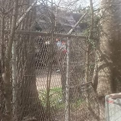 TEXAS PRIDE DISPOSAL - 46 Photos & 163 Reviews - 4411 Landrum Ln ...