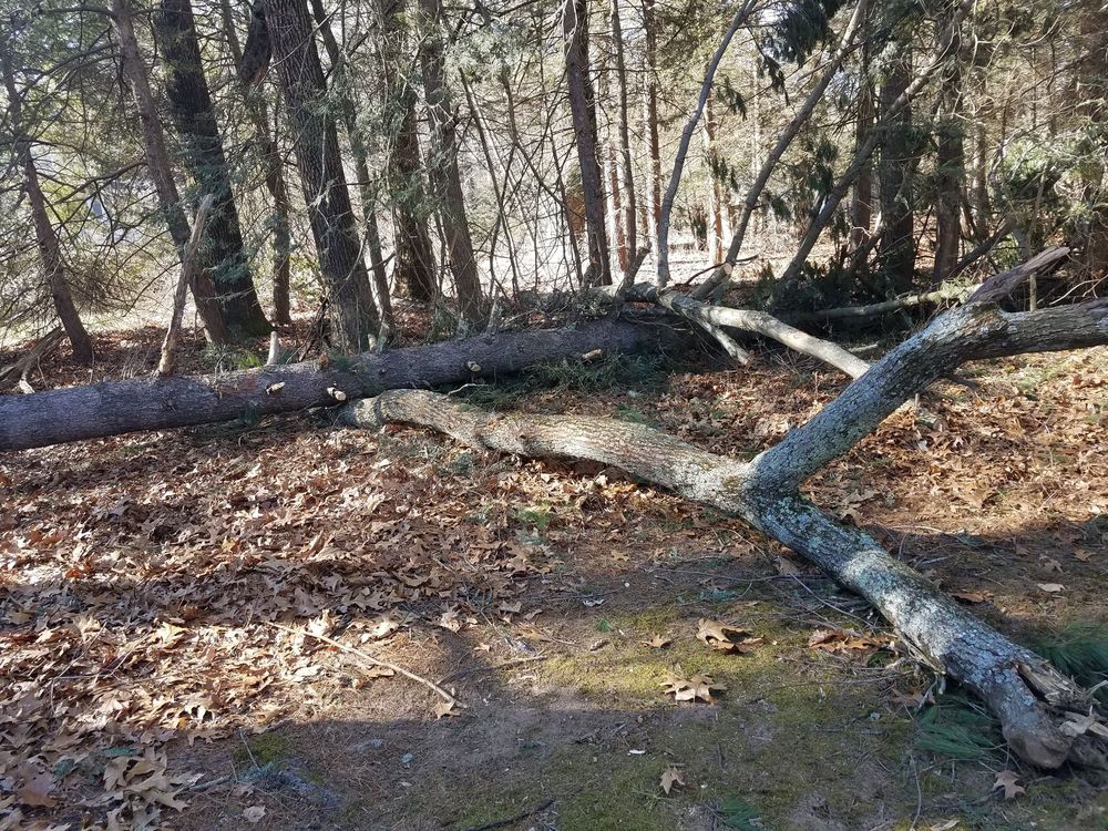 LEAFING OUT LANDSCAPES - Updated April 2025 - Simsbury, Connecticut ...