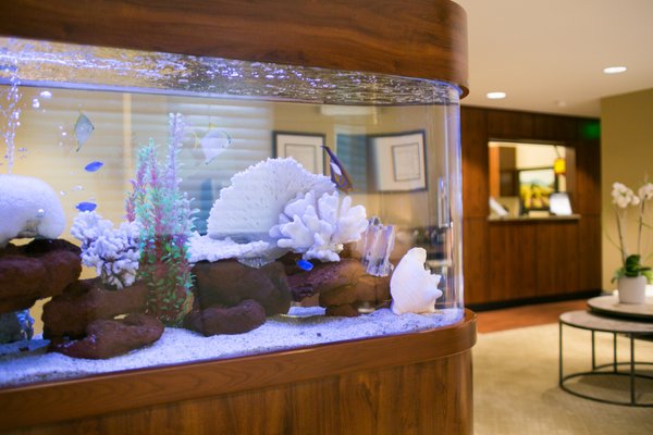 JAMES HOUSER, MD - Updated December 2025 - 4455 148th Ave NE, Bellevue ...