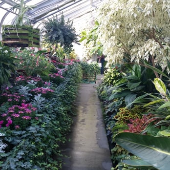 GAISER CONSERVATORY - Updated October 2025 - 73 Photos & 13 Reviews - 4 ...