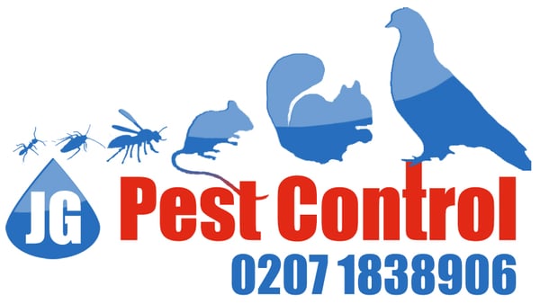 JG PEST CONTROL - Updated September 2025 - 25 Photos & 44 Reviews ...